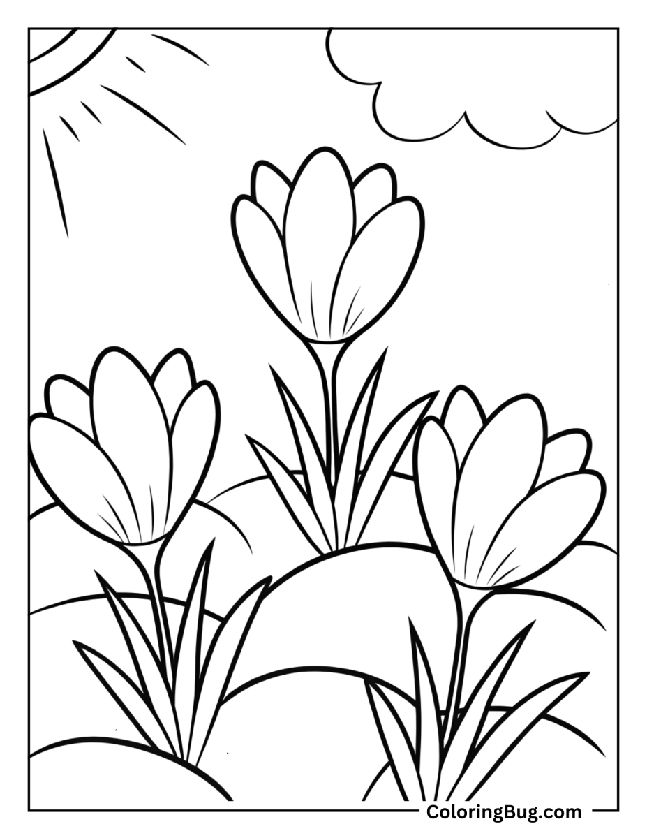 20 Spring Flowers Coloring Pages (Free Printable PDFs)