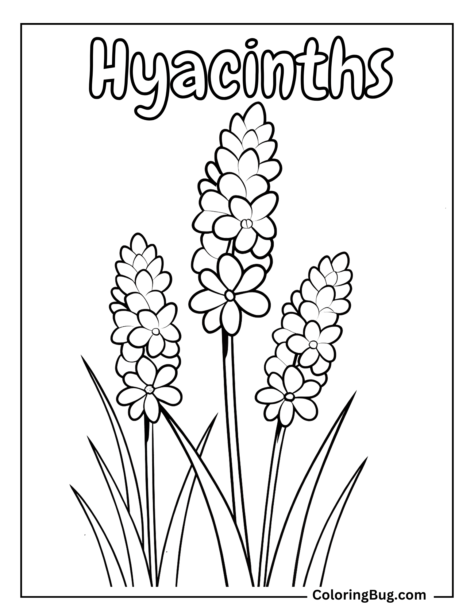 20 Spring Flowers Coloring Pages (Free Printable PDFs)