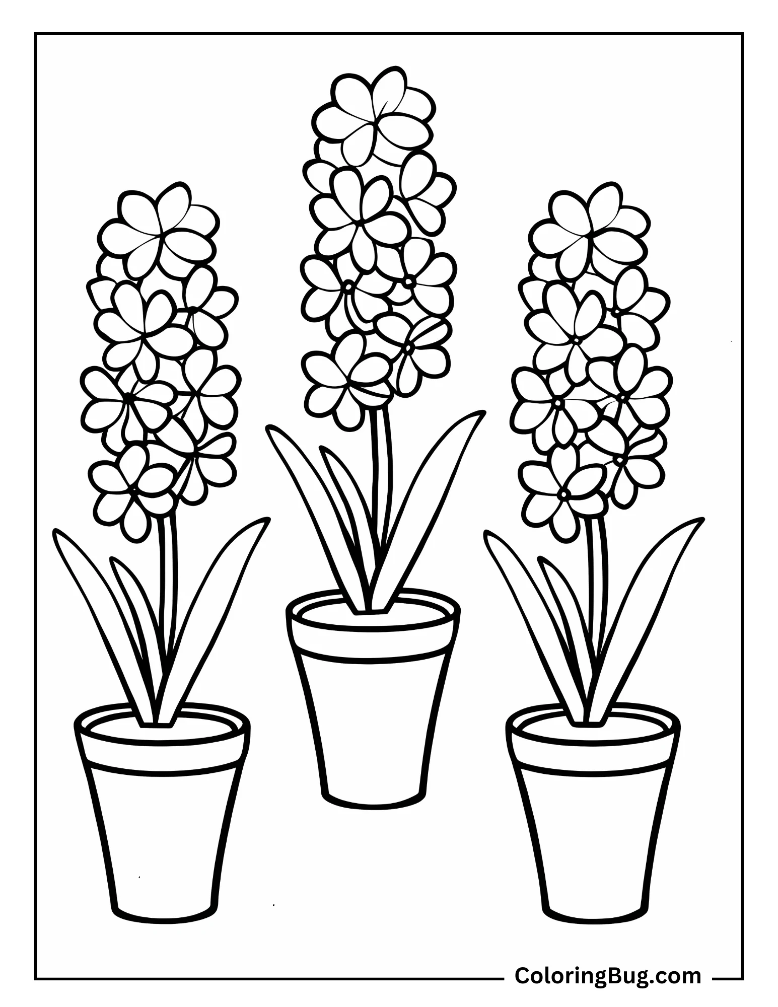20 Spring Flowers Coloring Pages (Free Printable PDFs)