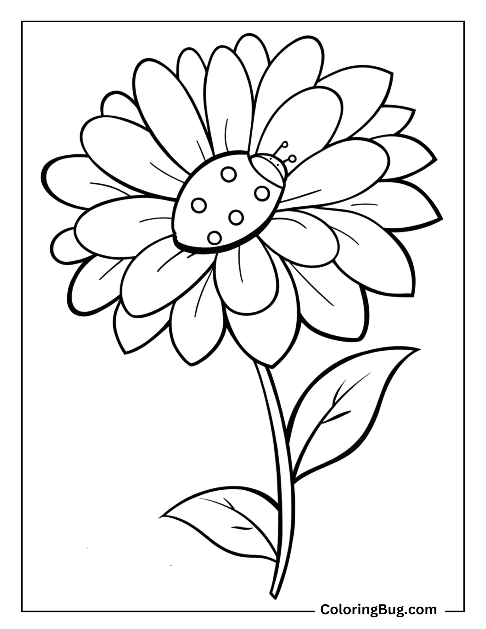 30 Cute Spring Coloring Pages (Free Printable PDFs)