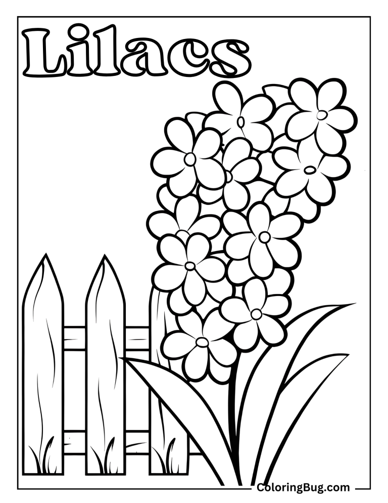 20 Spring Flowers Coloring Pages (Free Printable PDFs)