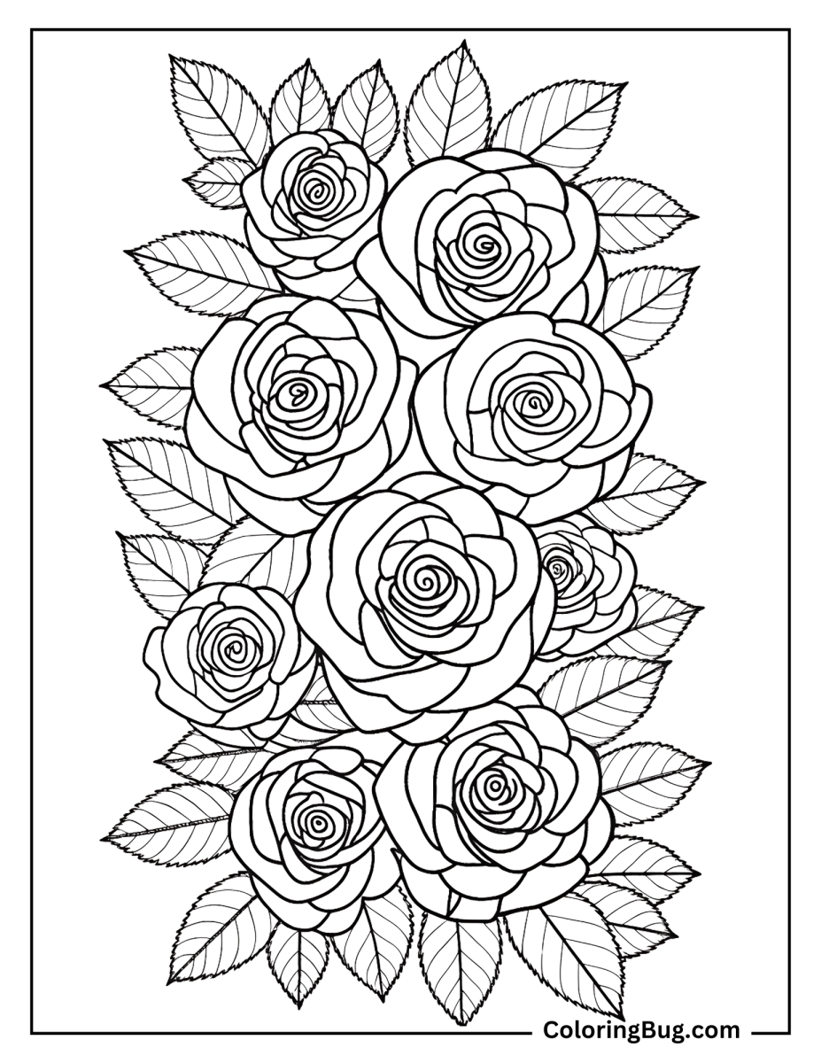 18 Valentines Coloring Pages for Adults (Free Printable PDFs)