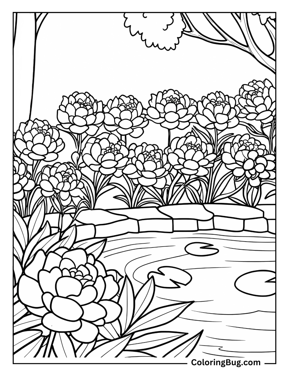 20 Spring Flowers Coloring Pages (Free Printable PDFs)