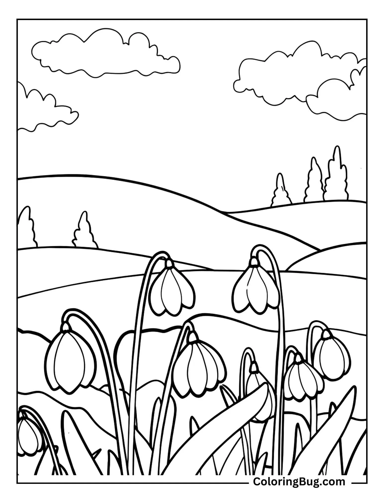20 Spring Flowers Coloring Pages (Free Printable PDFs)