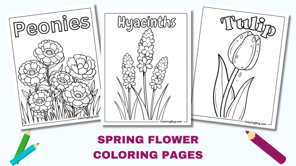 20 Spring Flowers Coloring Pages (Free Printable PDFs)