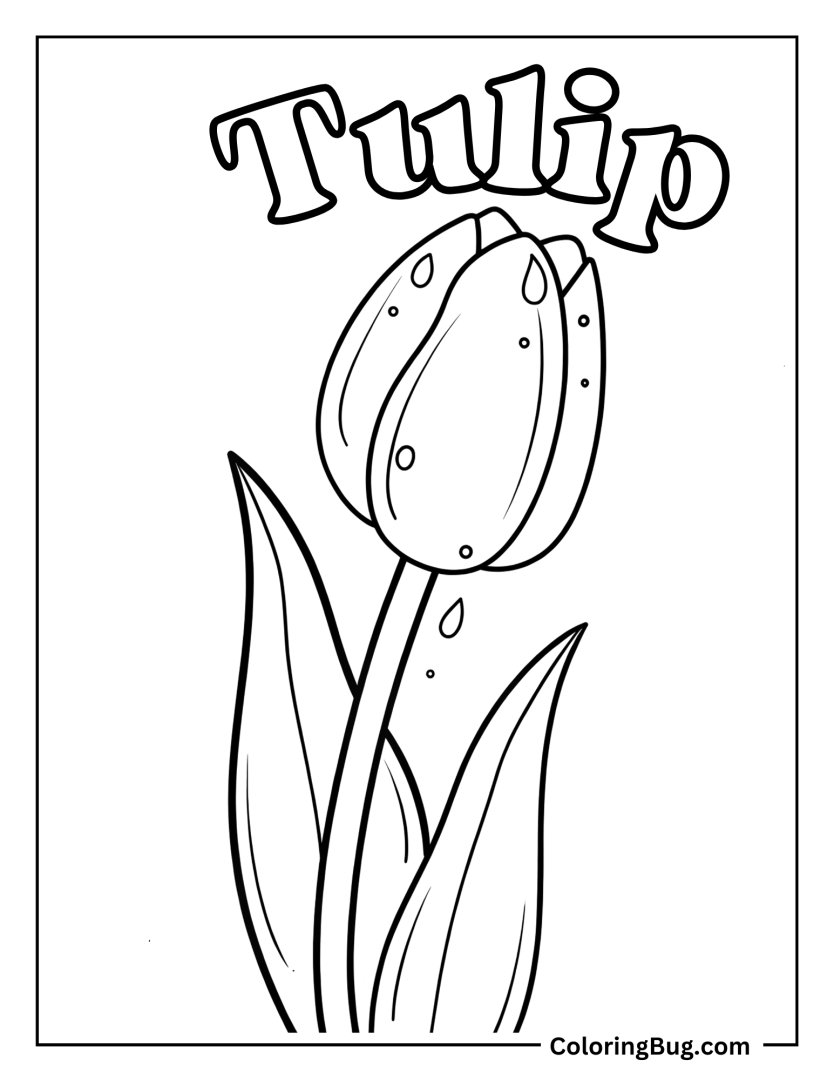 20 Spring Flowers Coloring Pages (Free Printable PDFs)