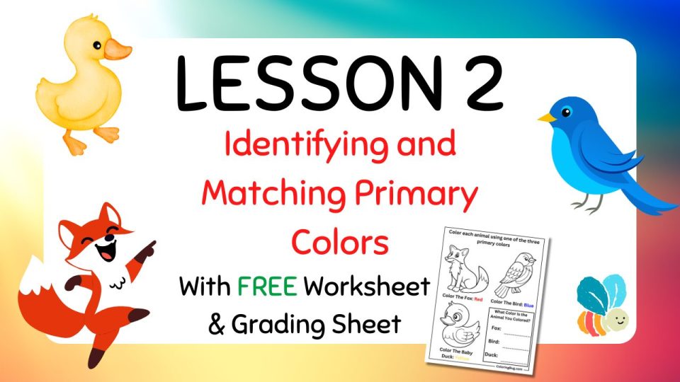 Lesson 2: Identifying and Matching Primary Colors - Coloring Bug
