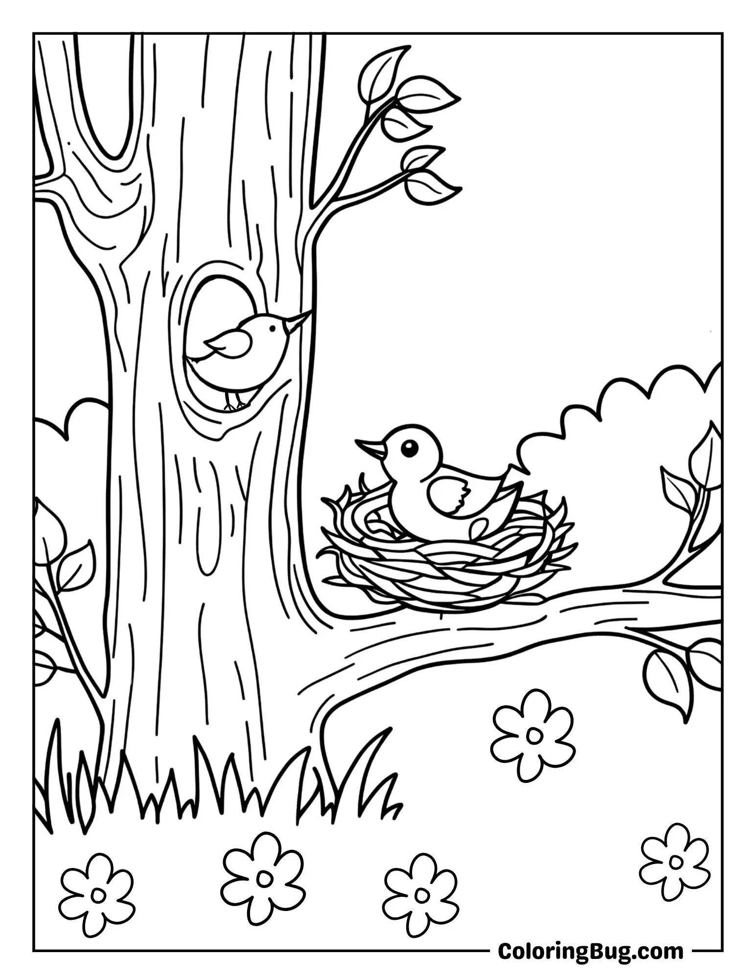 60 May Coloring Pages (Free Printable PDFs)