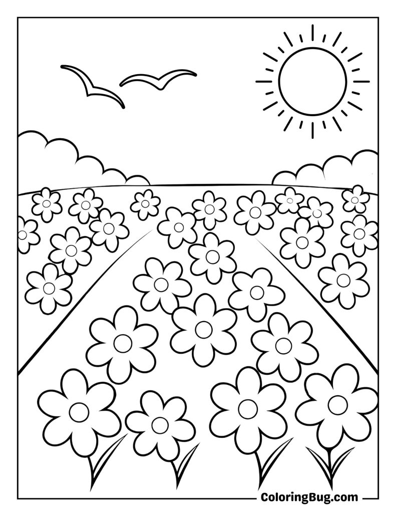 20 Summer Flowers Coloring Pages (Free Printable PDFs)