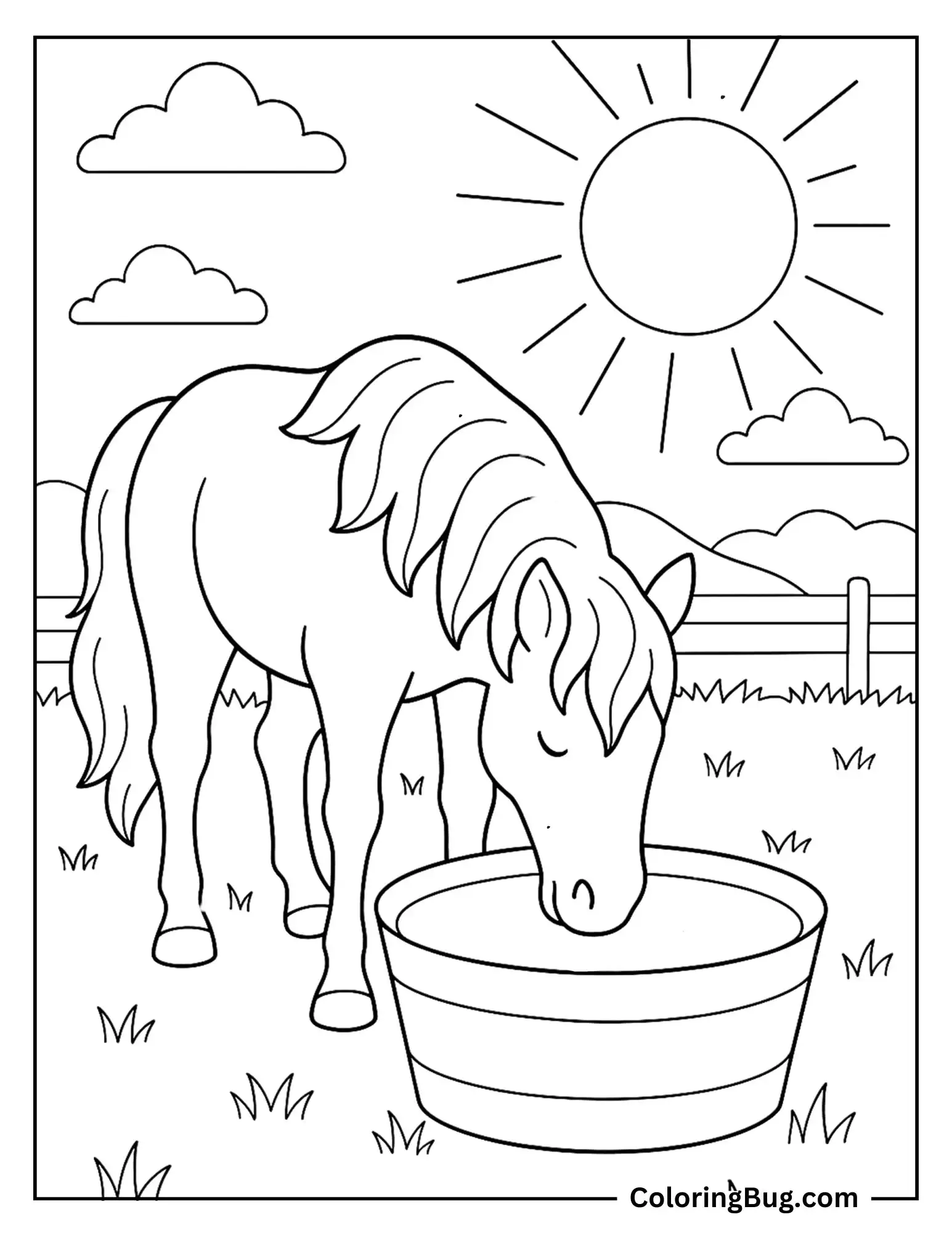 30 Horse Summer Coloring Pages (Free Printable PDFs)