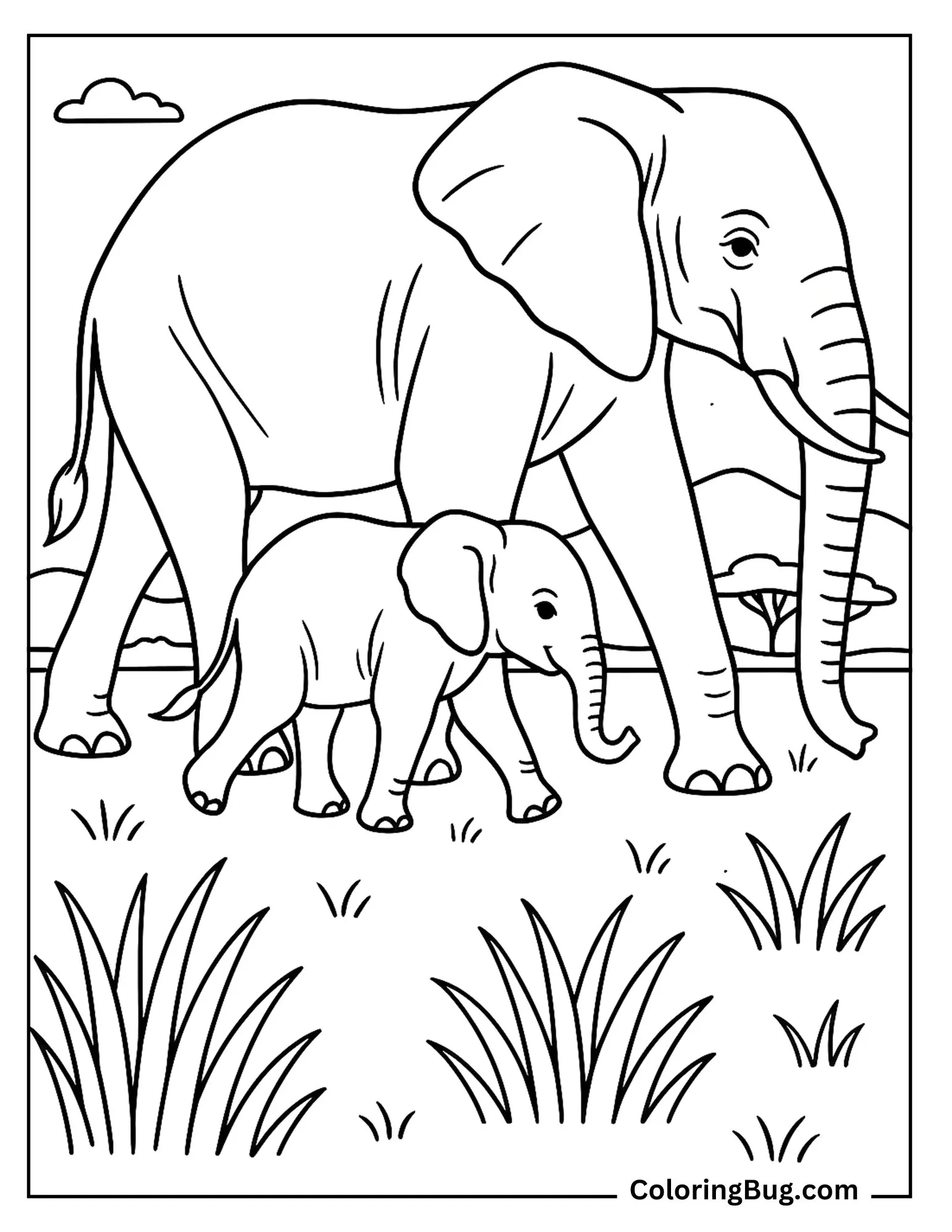 42 Elephant Coloring Pages (Free Printable PDFs)