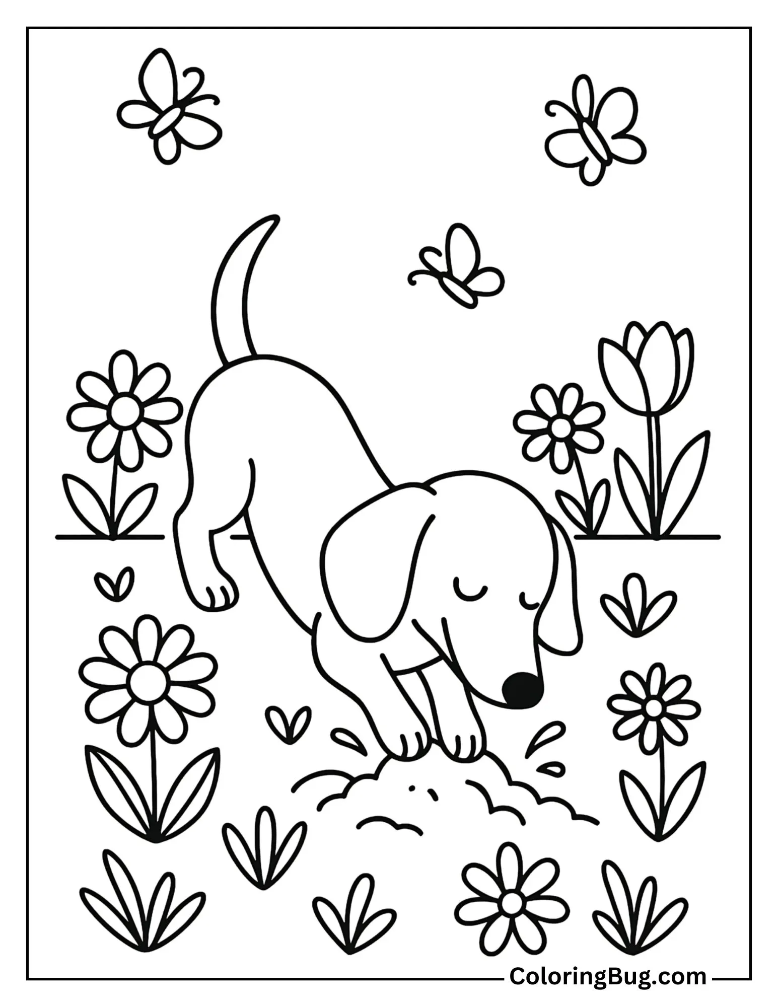 30 Dachshund Coloring Pages (Free Printable PDFs)