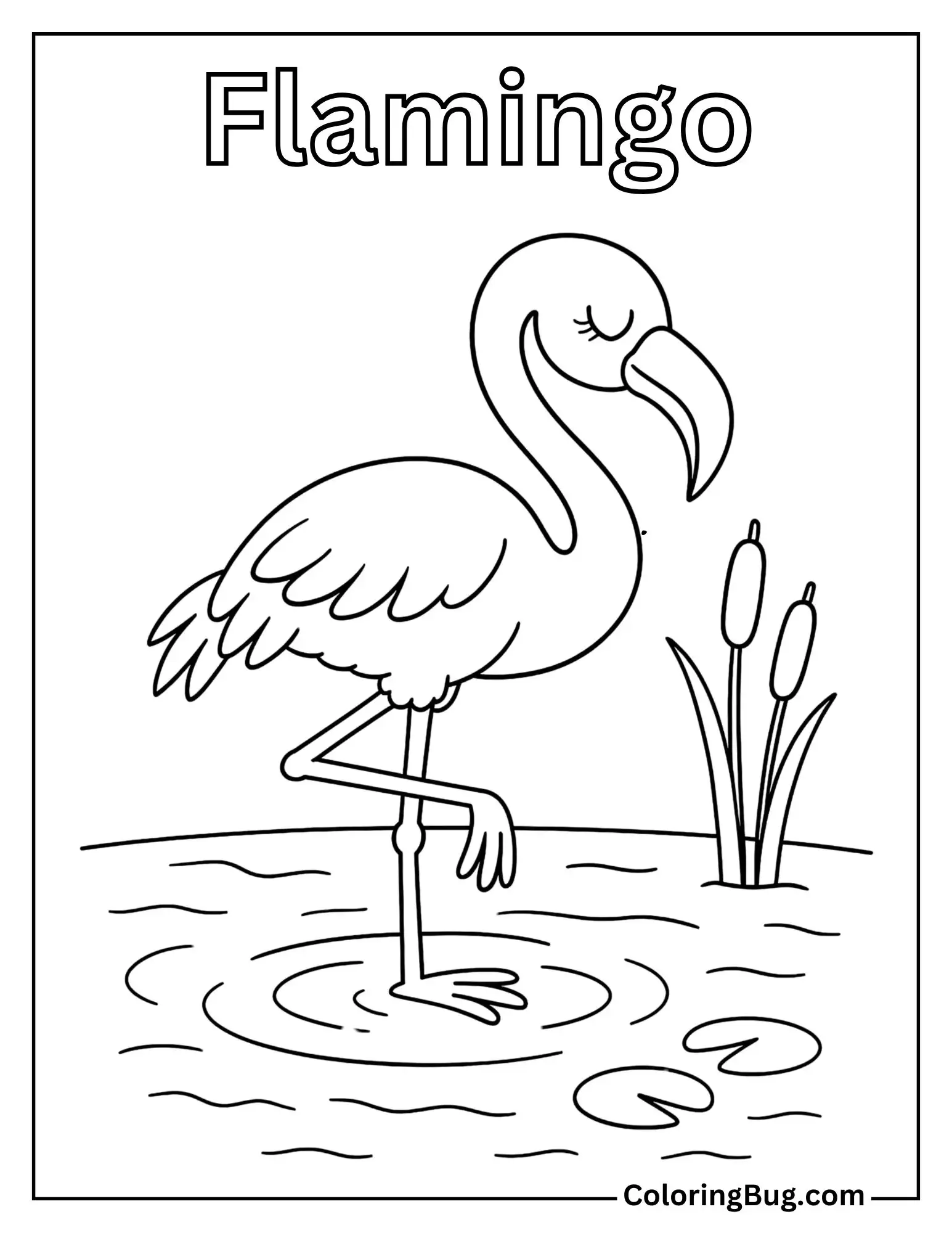 28 Flamingo Coloring Pages (Free Printable PDFs)