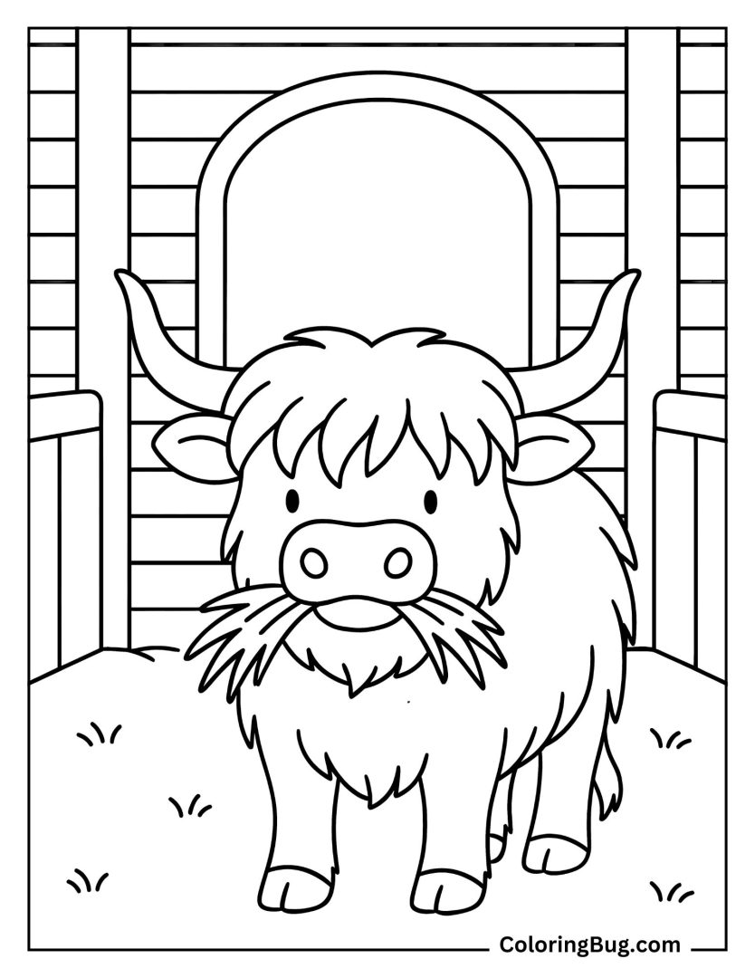 40 Highland Cow Coloring Pages (Free Printable PDFs)