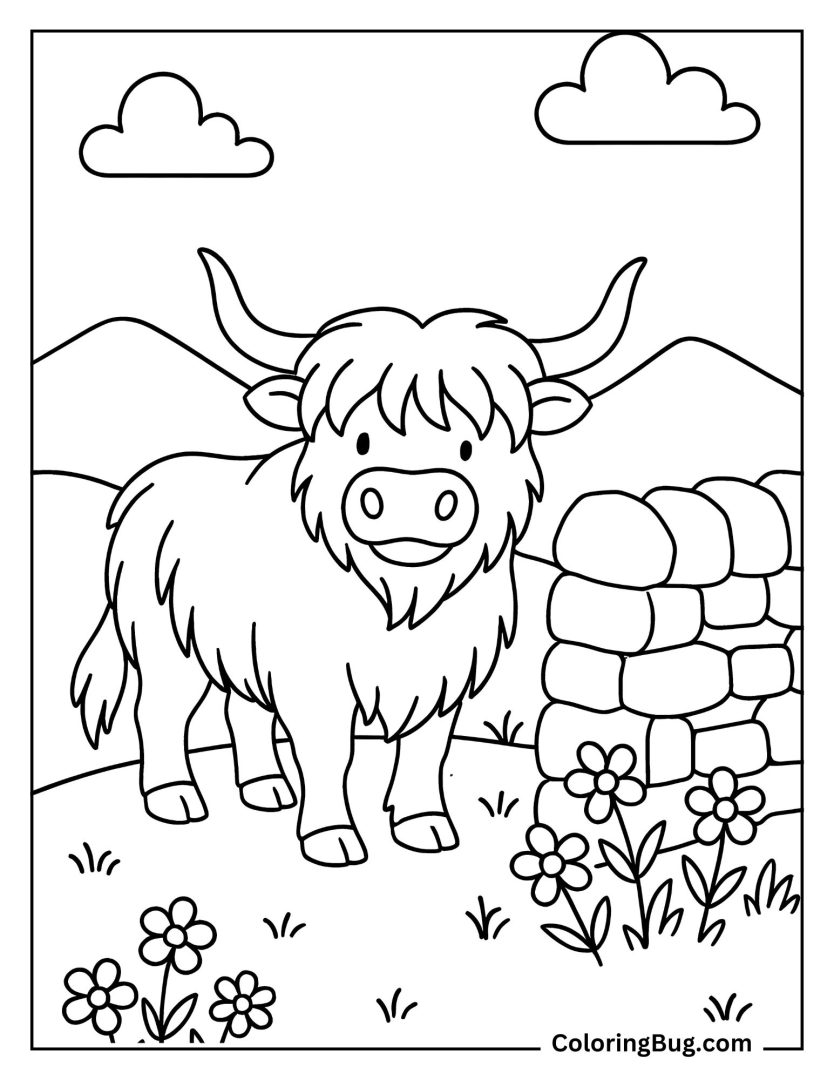 40 Highland Cow Coloring Pages (Free Printable PDFs)