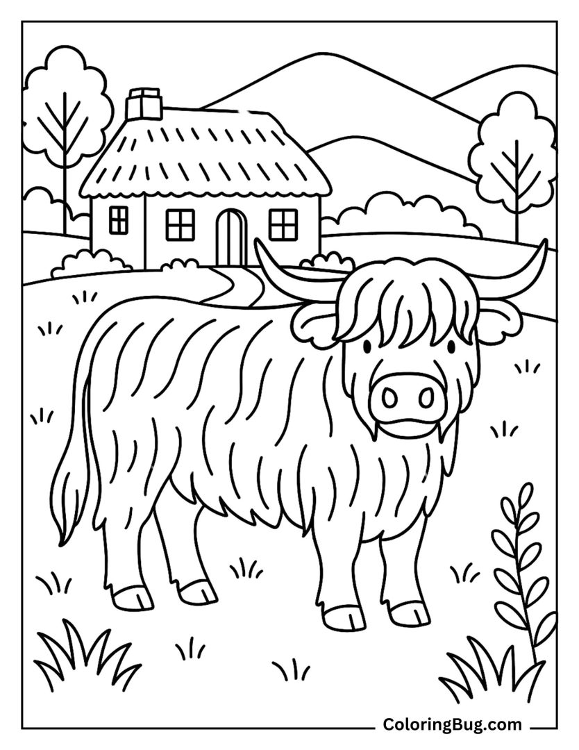 40 Highland Cow Coloring Pages (Free Printable PDFs)