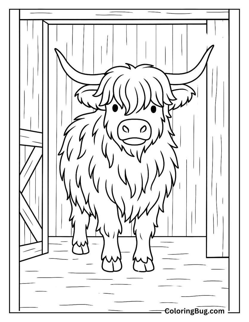 40 Highland Cow Coloring Pages (Free Printable PDFs)