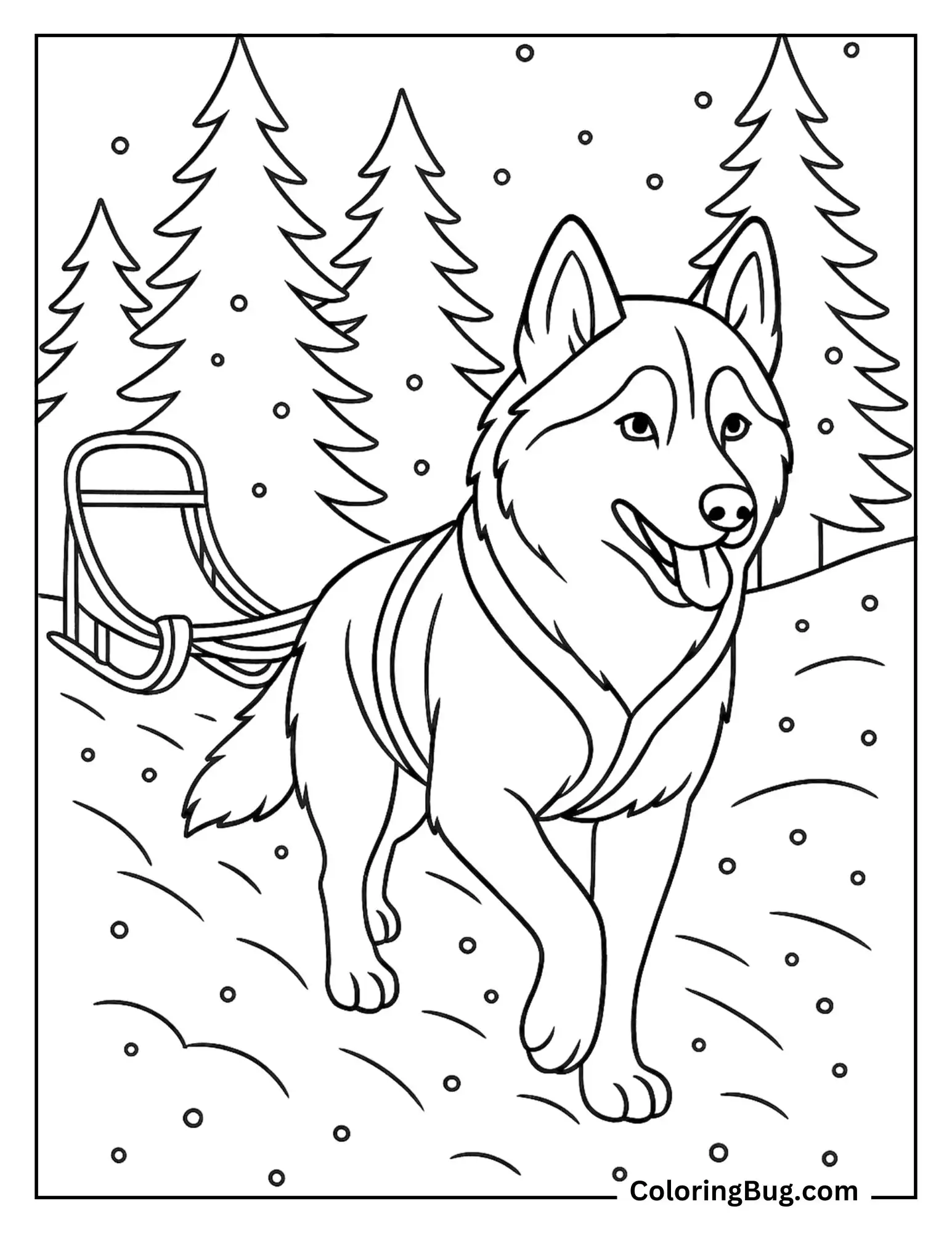 30 Husky Coloring Pages (Free Printable PDFs)