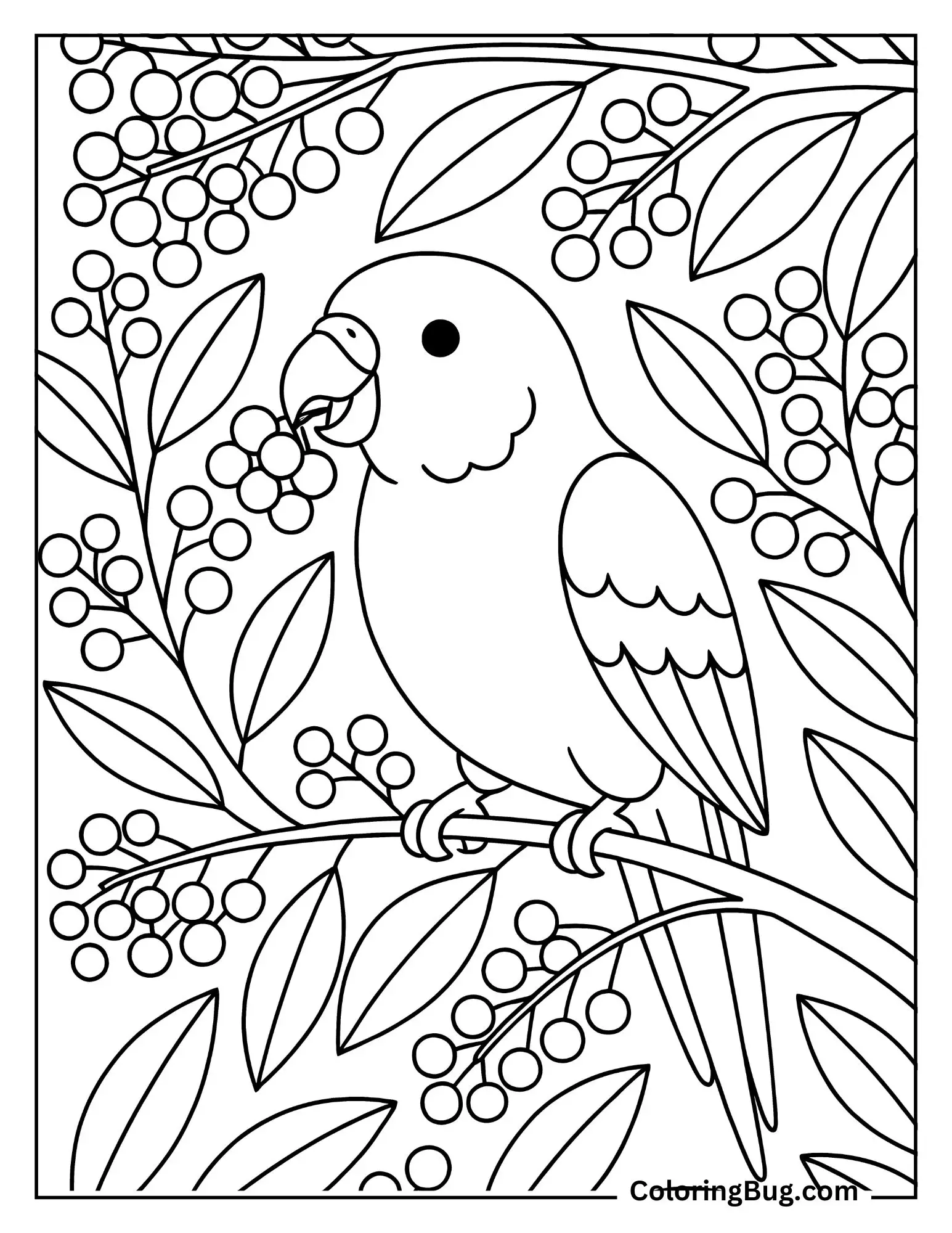 50 Parrot Coloring Pages (Free Printable PDFs)