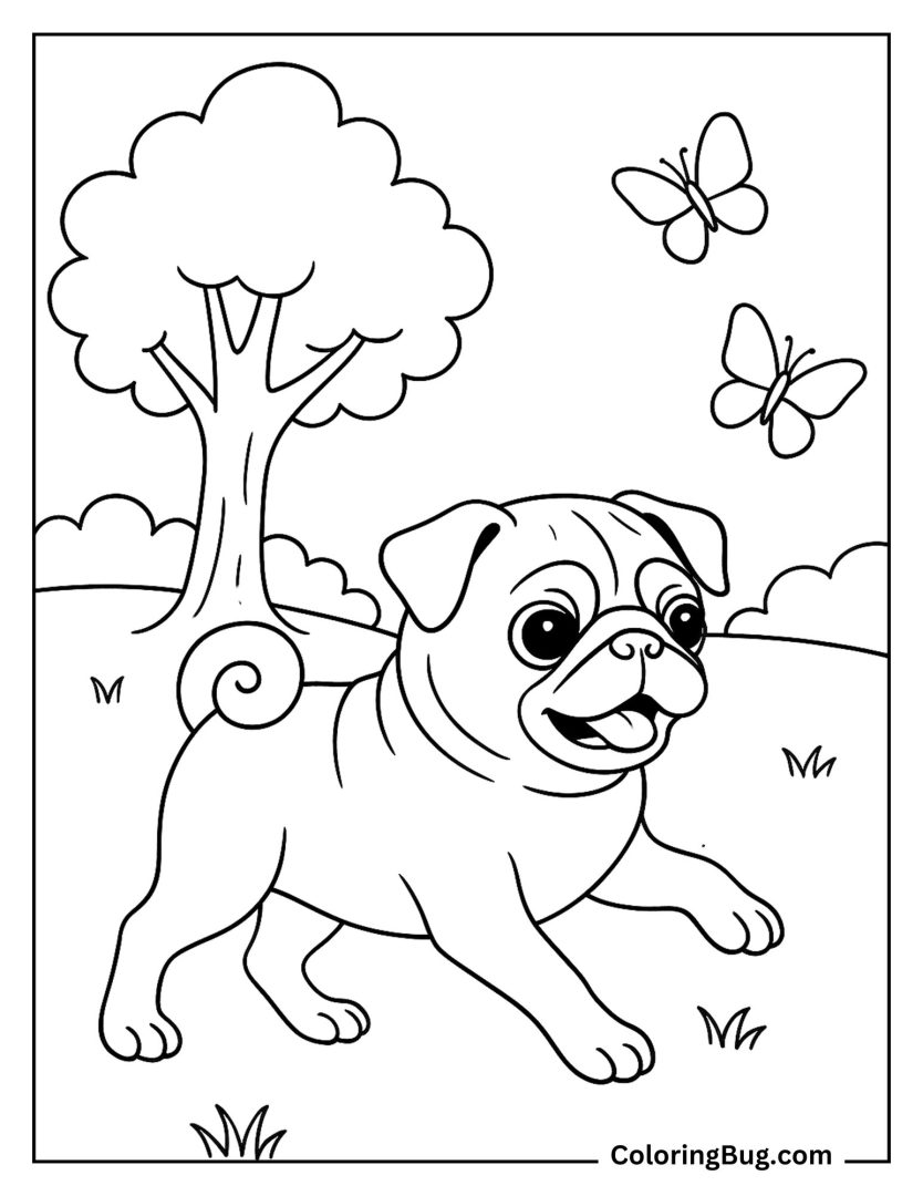 30 Cute Pug Coloring Pages (Free Printable PDFs)