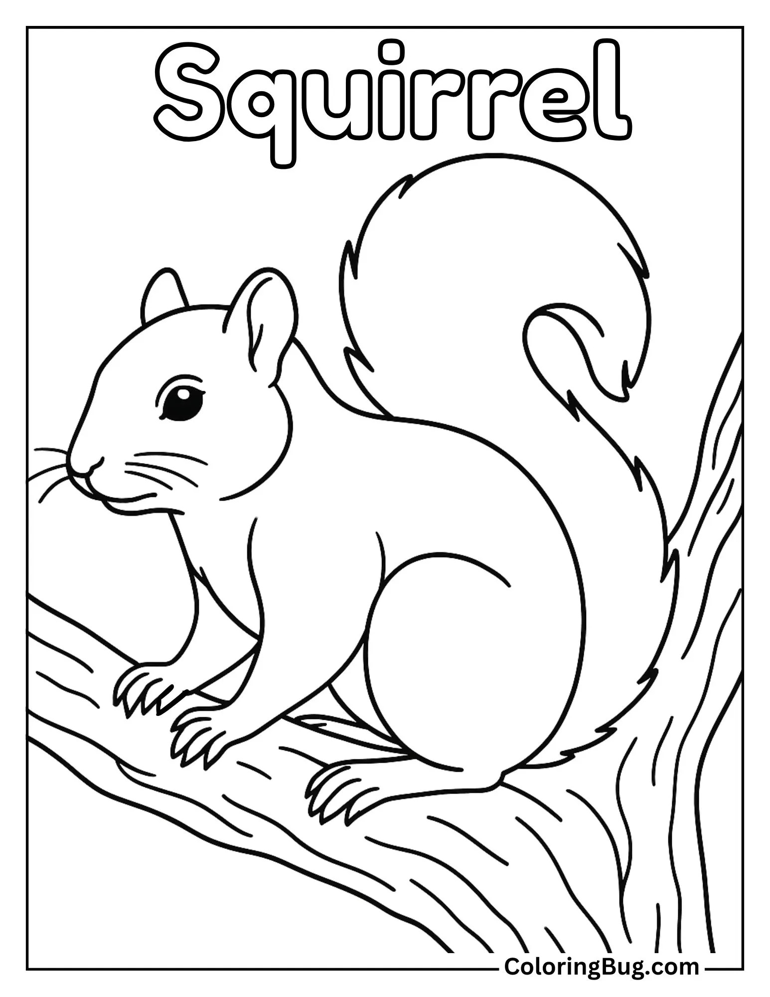 48 Squirrel Coloring Pages (Free Printable PDFs)