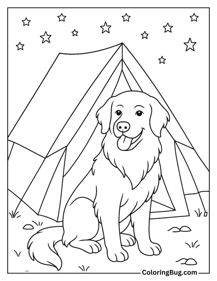 30 Golden Retriever Coloring Pages (Free Printable PDFs)