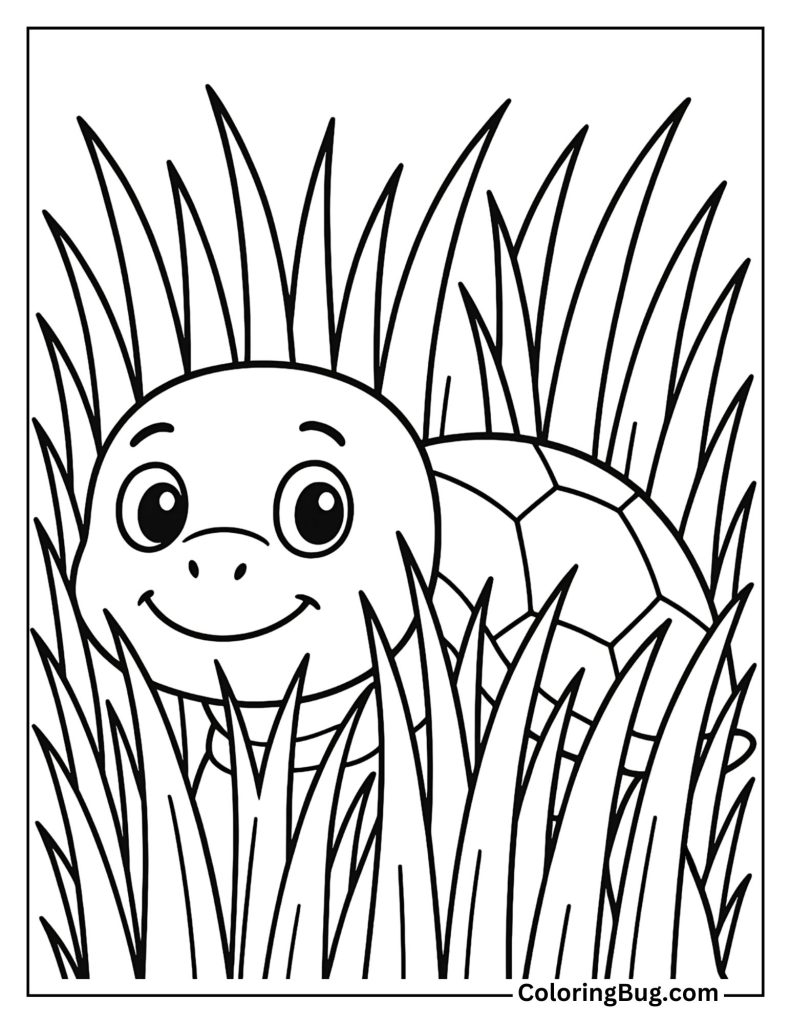 50 Turtle Coloring Pages (Free Printable PDFs)