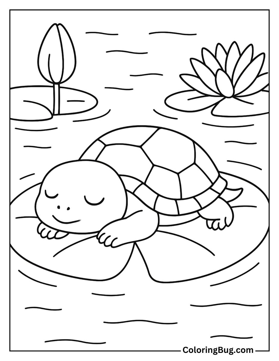 50 Turtle Coloring Pages (Free Printable PDFs)