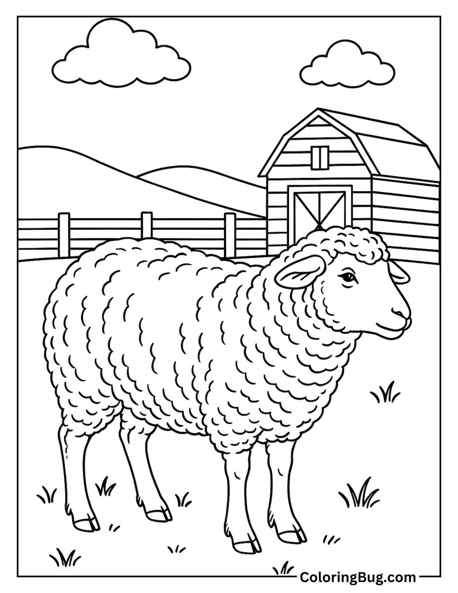 +44 Sheep Coloring Pages (Free Printable PDFs)