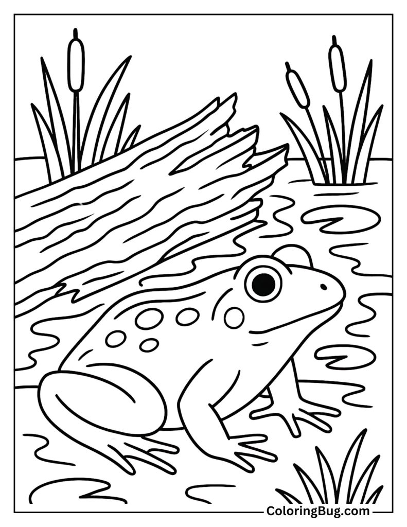 40 Frog Coloring Pages (Free Printable PDFs)